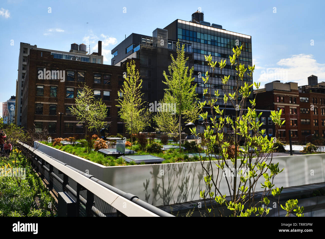 Pictured is The High Line a 1.45-mile-long elevated linear park ...