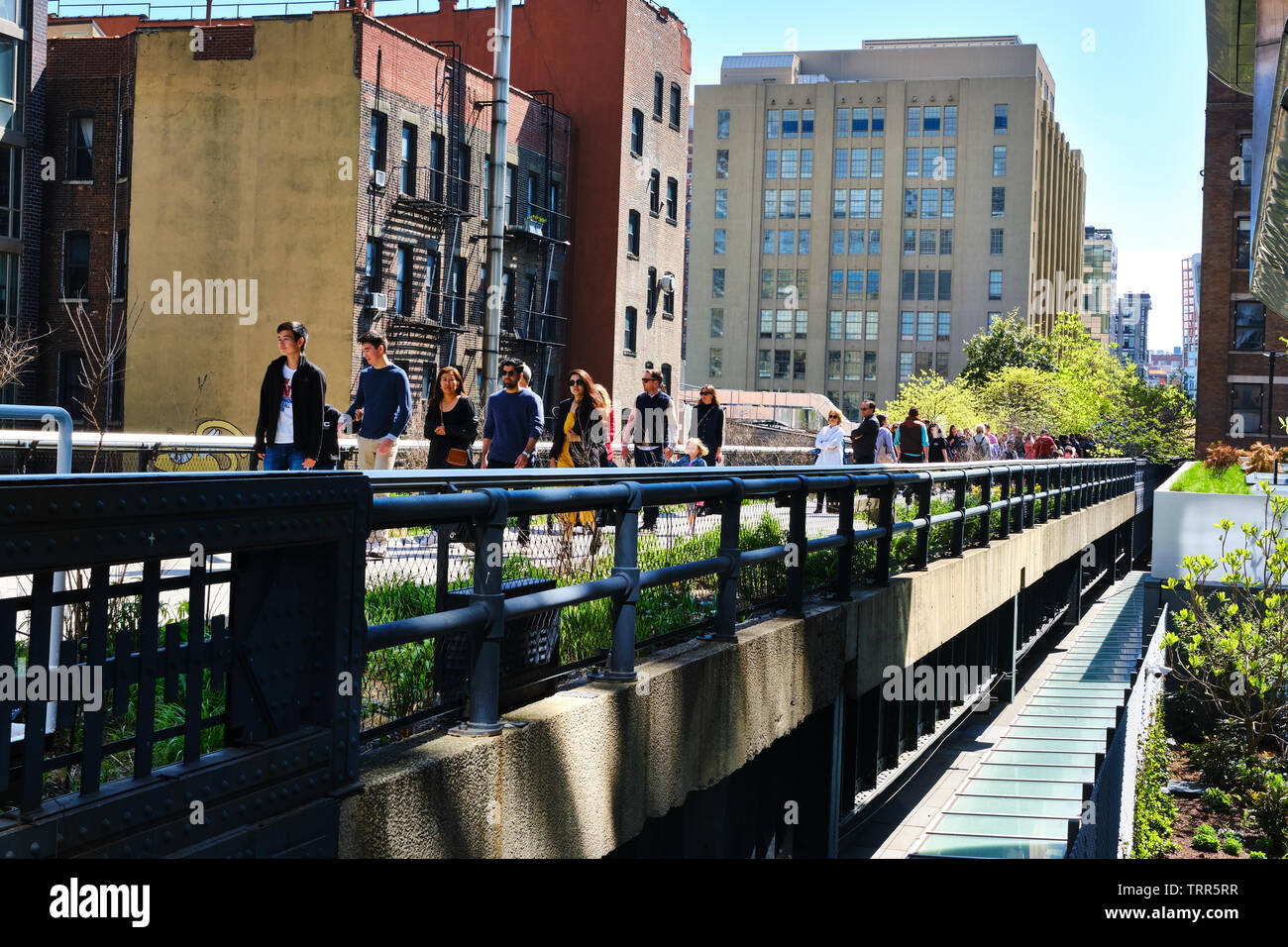 Pictured is The High Line a 1.45-mile-long elevated linear park ...