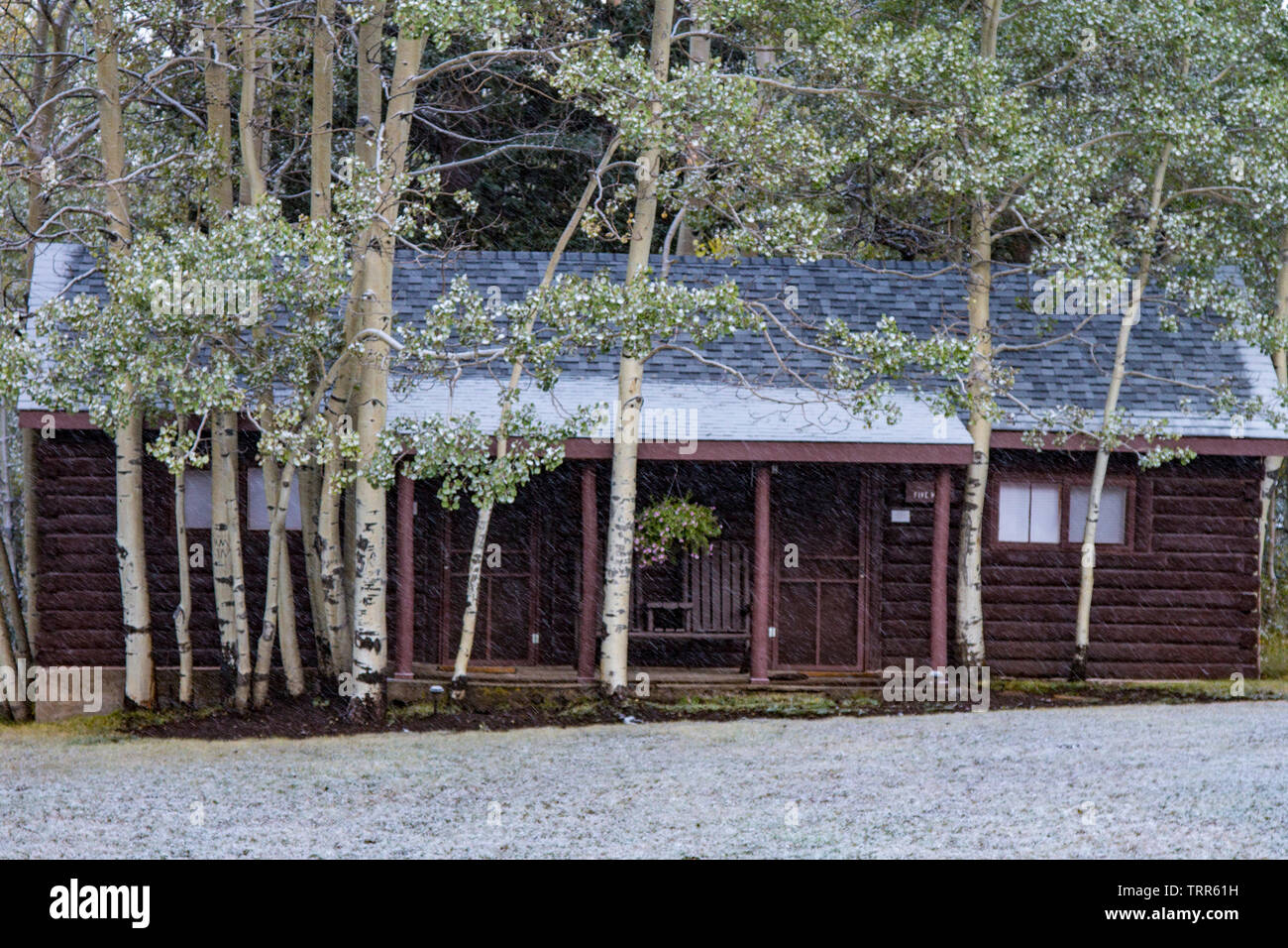 Absaroka horse hi-res stock photography and images - Alamy