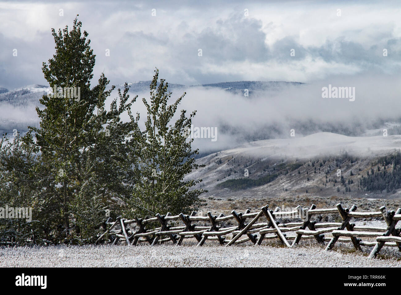 Absaroka horse hi-res stock photography and images - Alamy