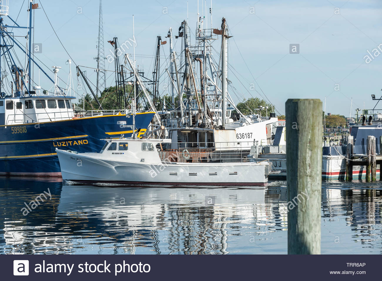 Miss Molly Stock Photos & Miss Molly Stock Images - Alamy