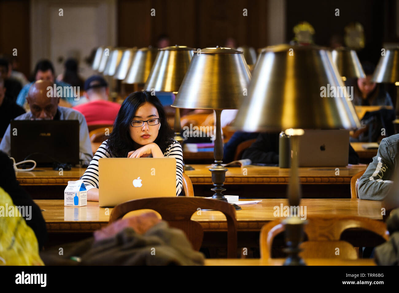 Pictured is New York Public Library - Stephen A. Schwarzman Building ...