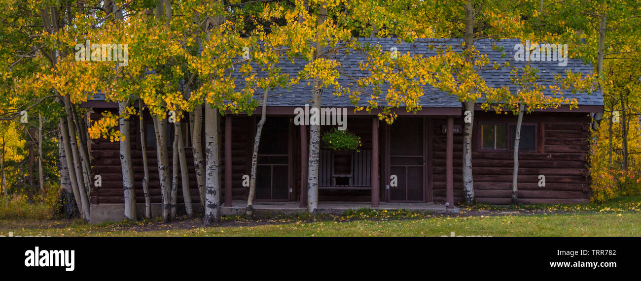 Autumn foliage, aspen, cabin at the Absaroka Ranch, Wyoming Stock Photo ...