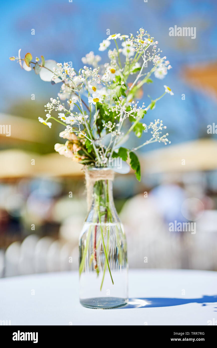 Spring flowers in a transparent vase Stock Photo - Alamy