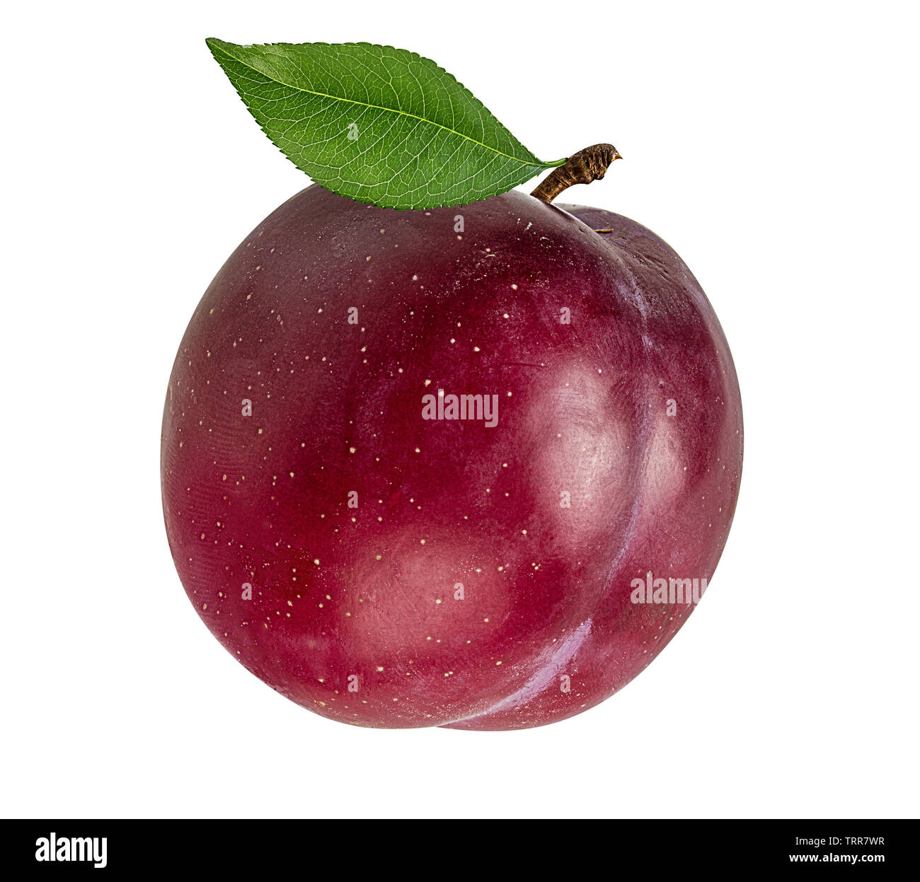 plum on a white background Stock Photo - Alamy