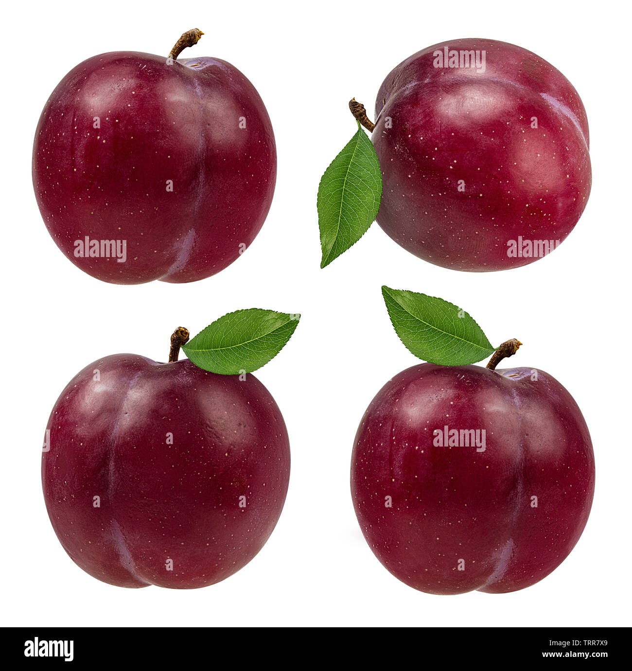 plum on a white background Stock Photo - Alamy