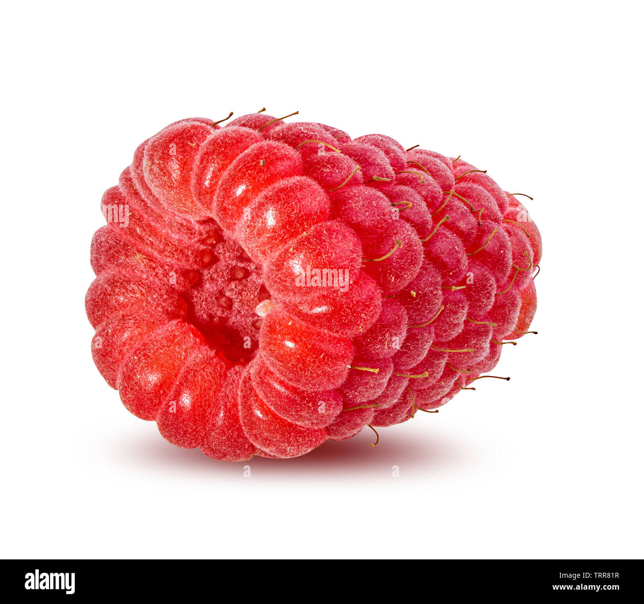 Raspberry isolated on white background Stock Photo - Alamy