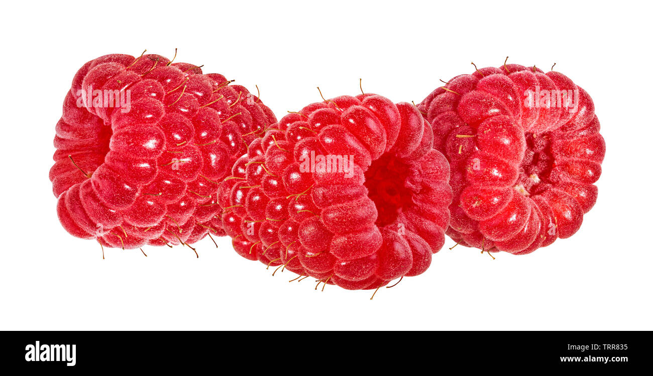 Raspberry isolated on white background Stock Photo - Alamy