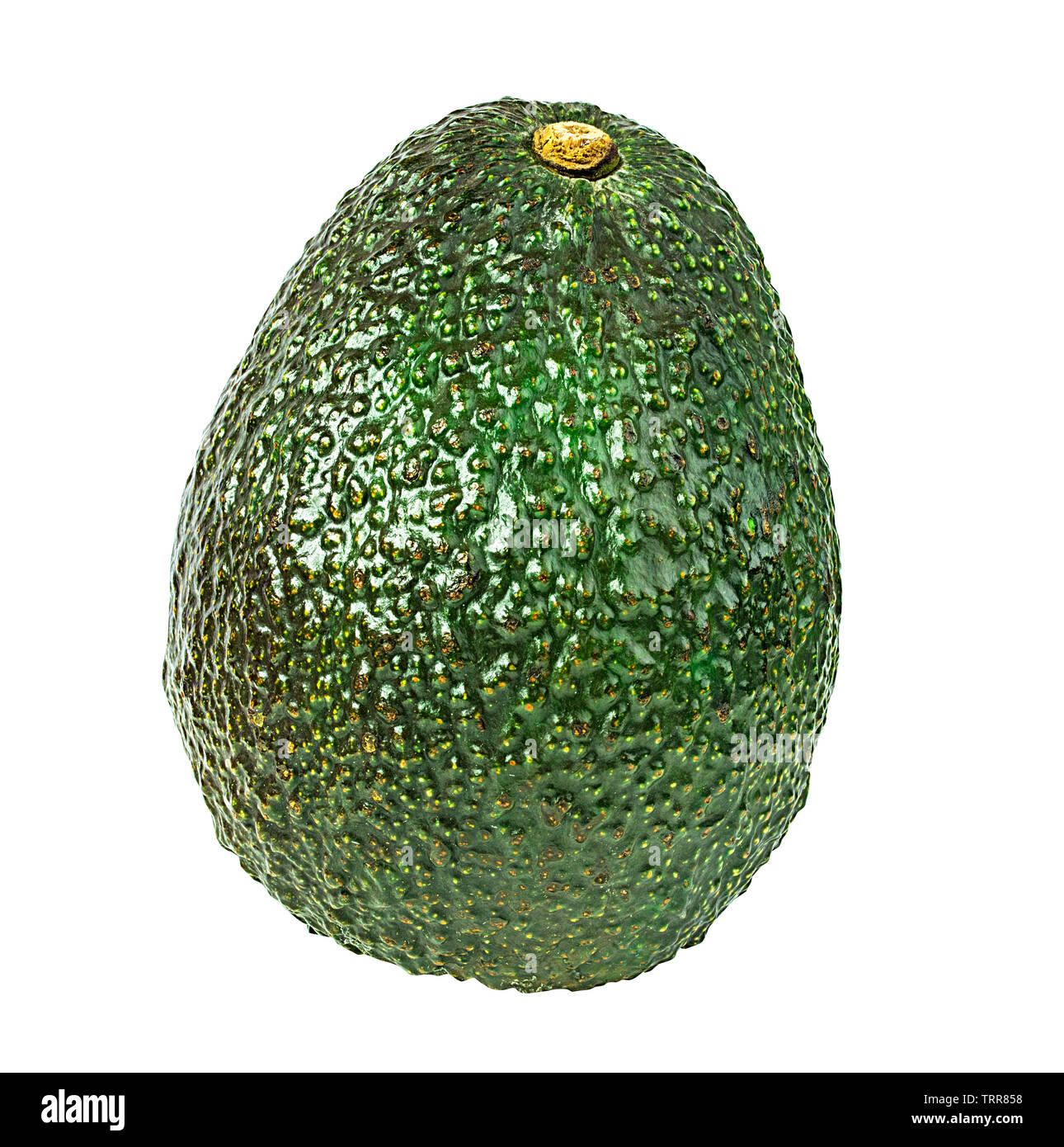 Fresh avocado fruits isolated on white background with clipping path ...