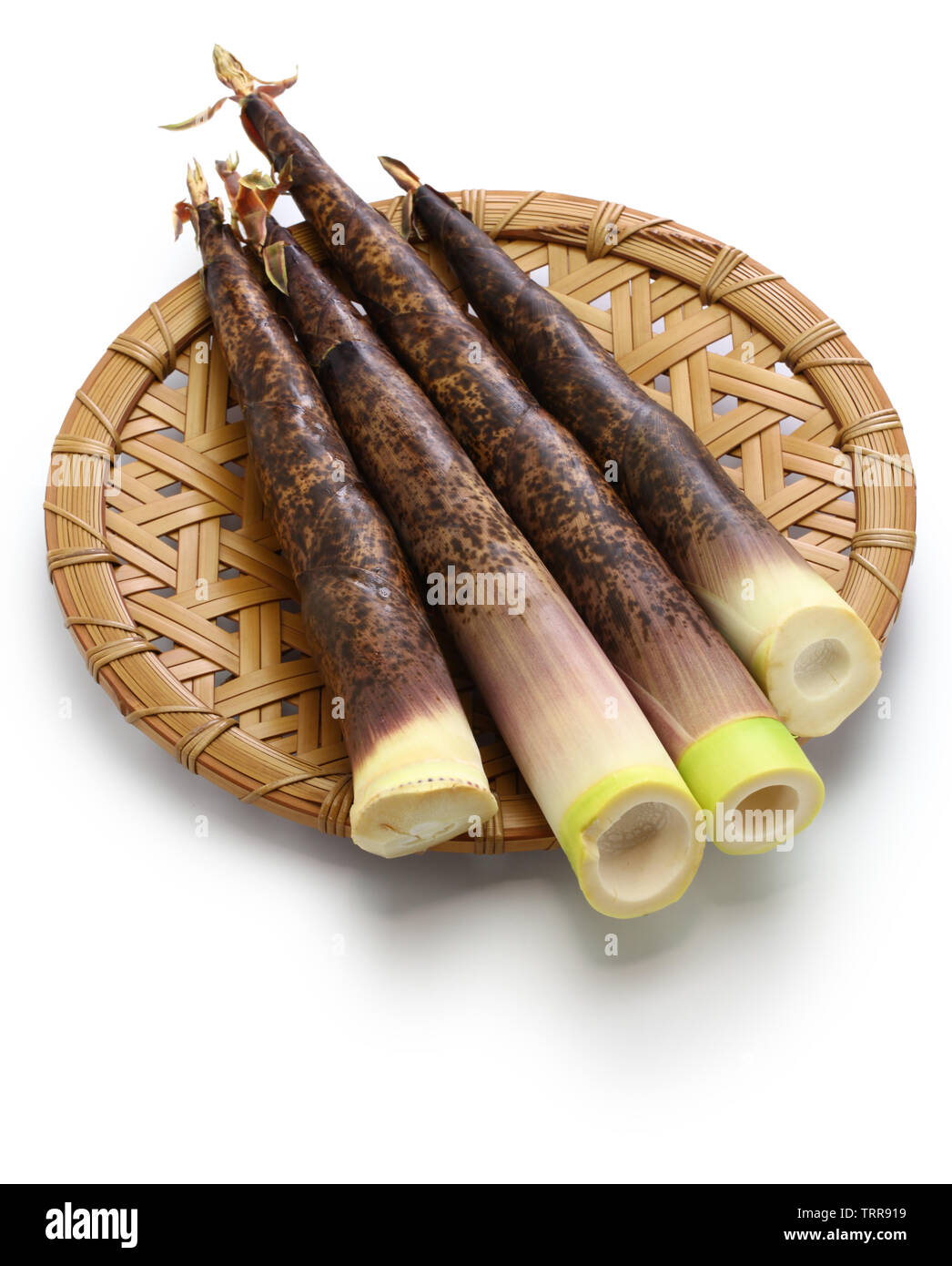 Japanese Madake Bamboo Shoots isolated on white background Stock Photo ...