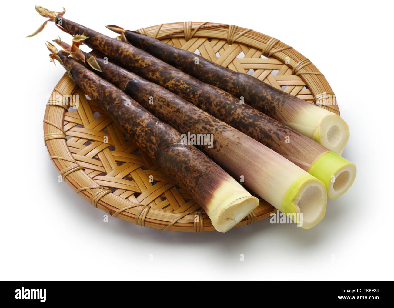 Japanese Madake Bamboo Shoots isolated on white background Stock Photo ...