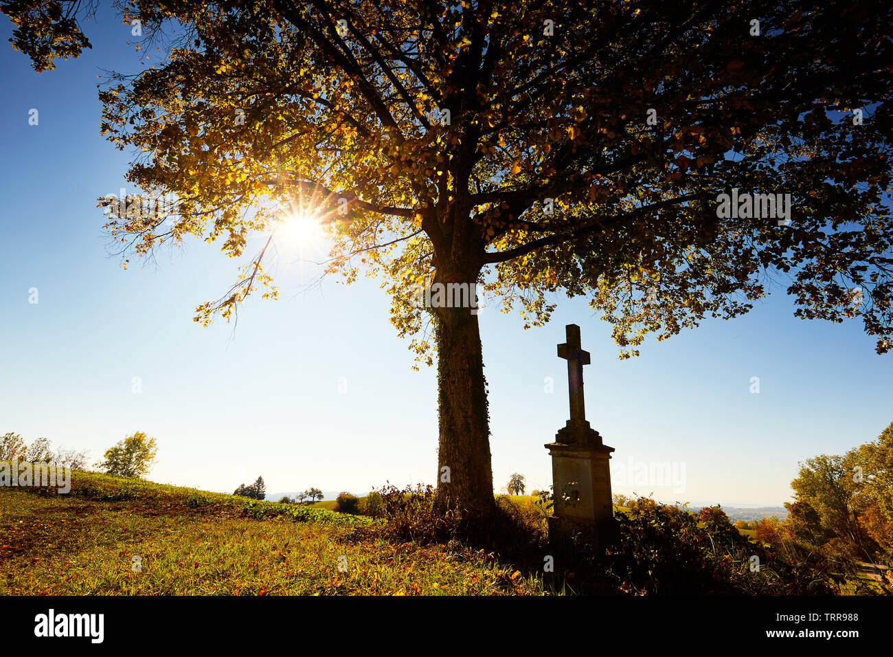 Cross under a tree with autumn leaves in back light Stock Photo - Alamy