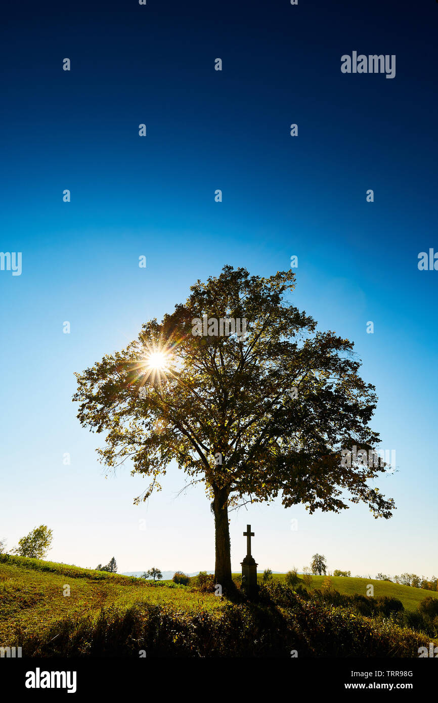 Cross under a tree with autumn leaves in back light Stock Photo - Alamy
