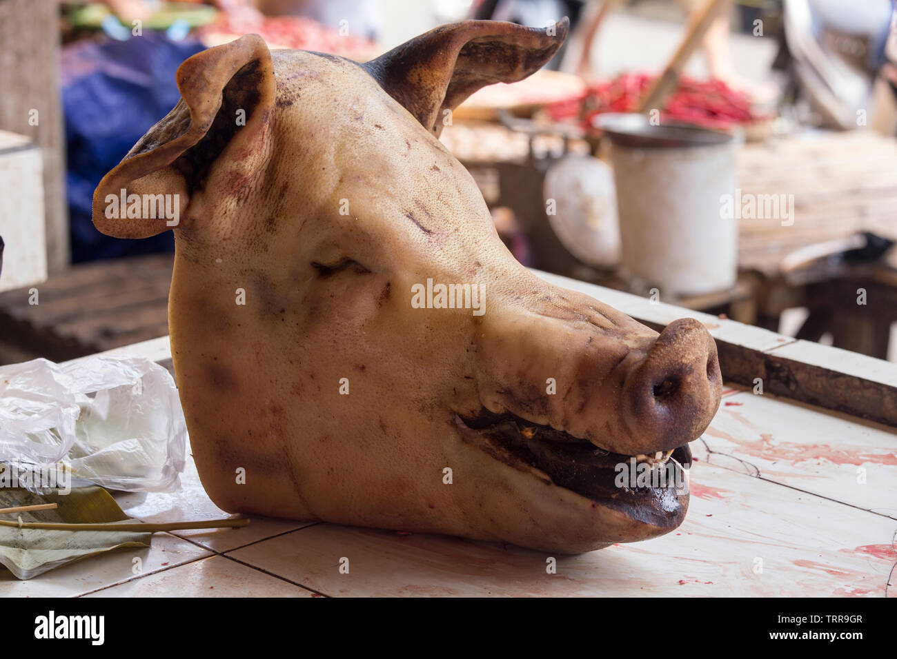 Tomohon, Indonesia - August 12, 2017: pork head at Tomohon Extreme ...
