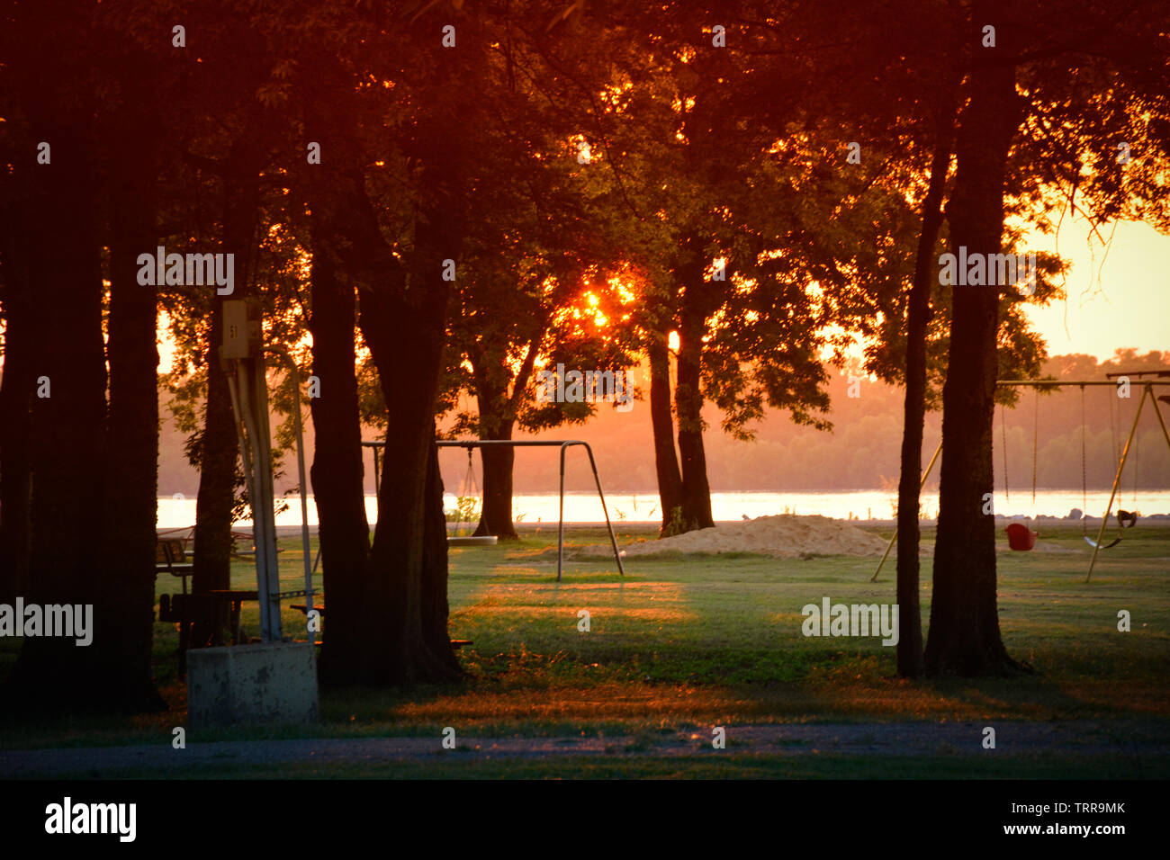 A shady view of the Mississippi River with warm golden sunset creating ...