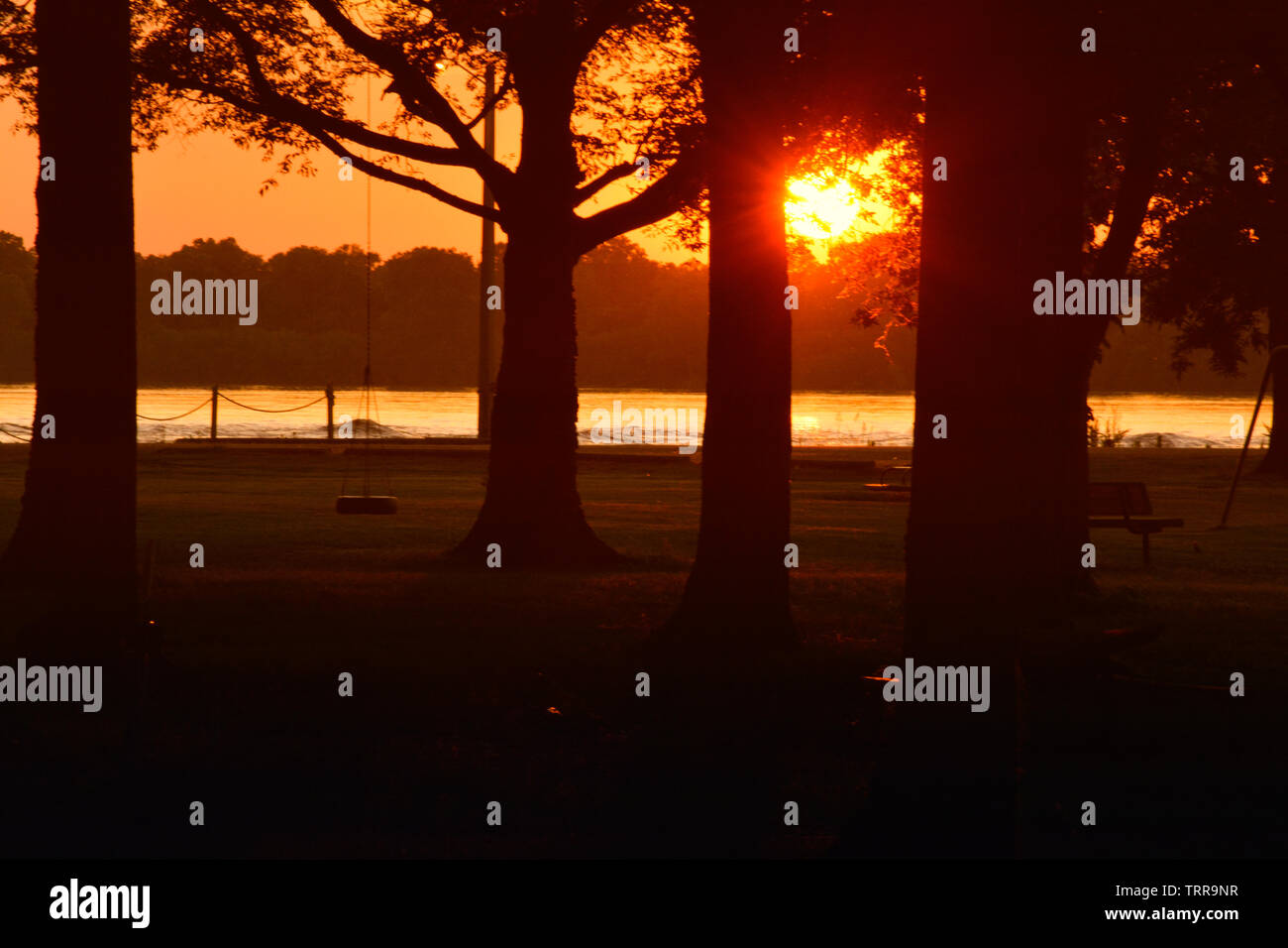 A shady view of the Mississippi River with warm golden sunset creating ...