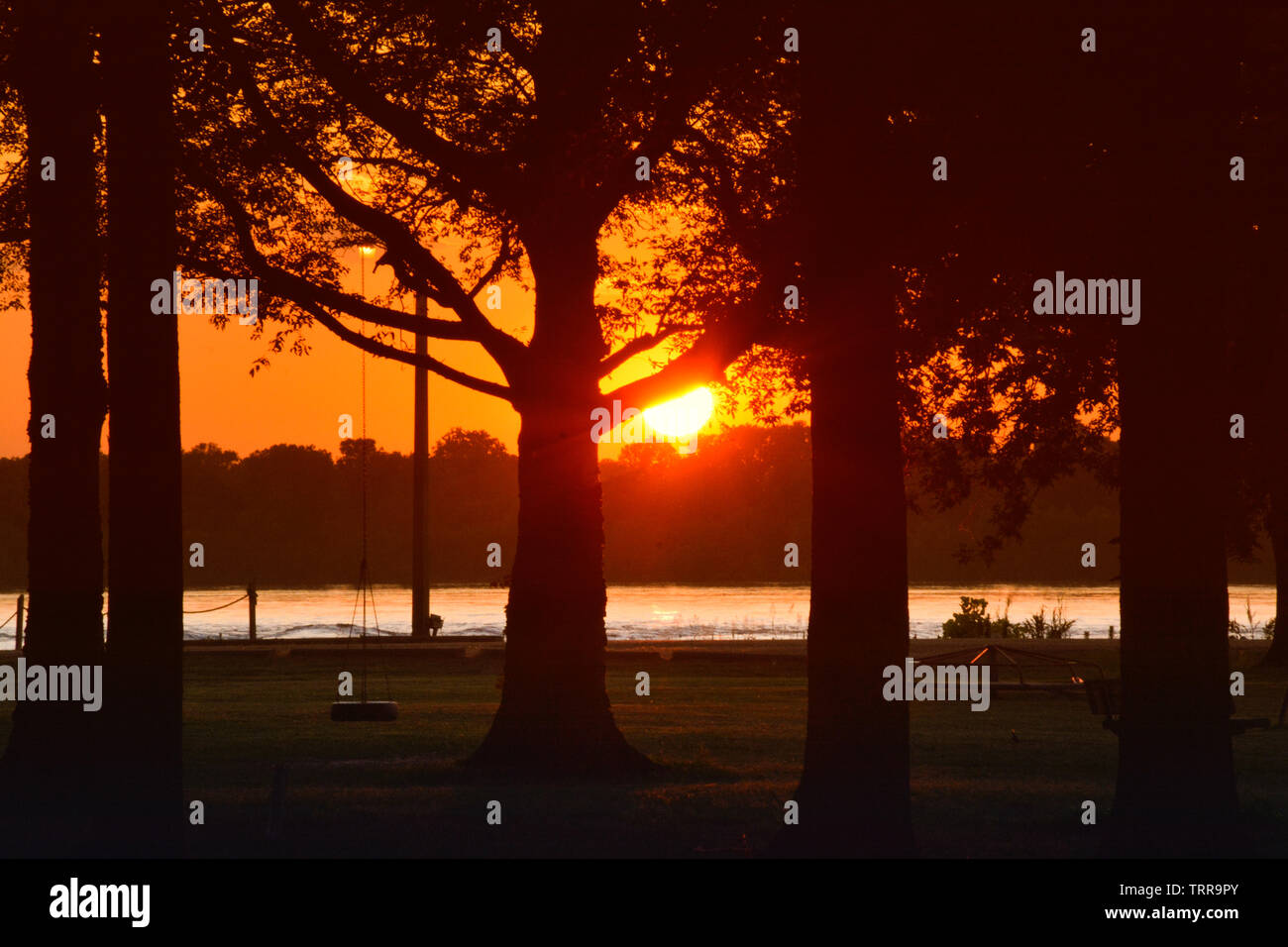A shady view of the Mississippi River with warm golden sunset creating ...