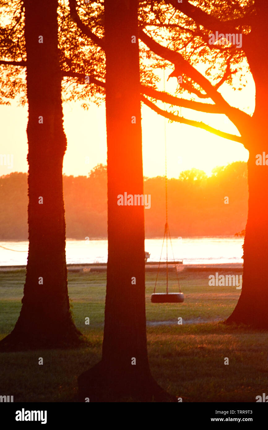 A shady view of the Mississippi River with warm golden sunset creating ...