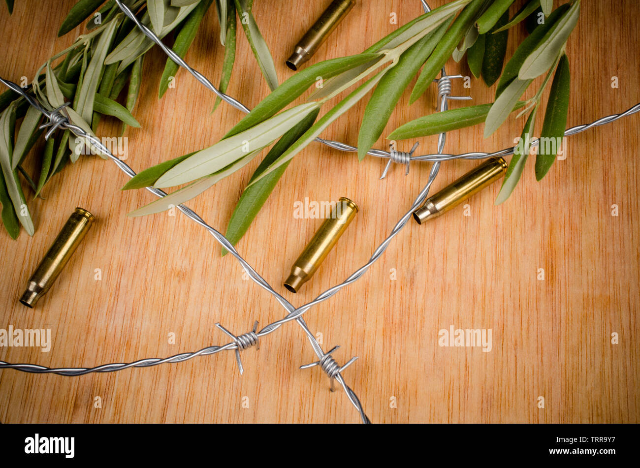 An olive twig among bullets, a hope for peace concept Stock Photo - Alamy