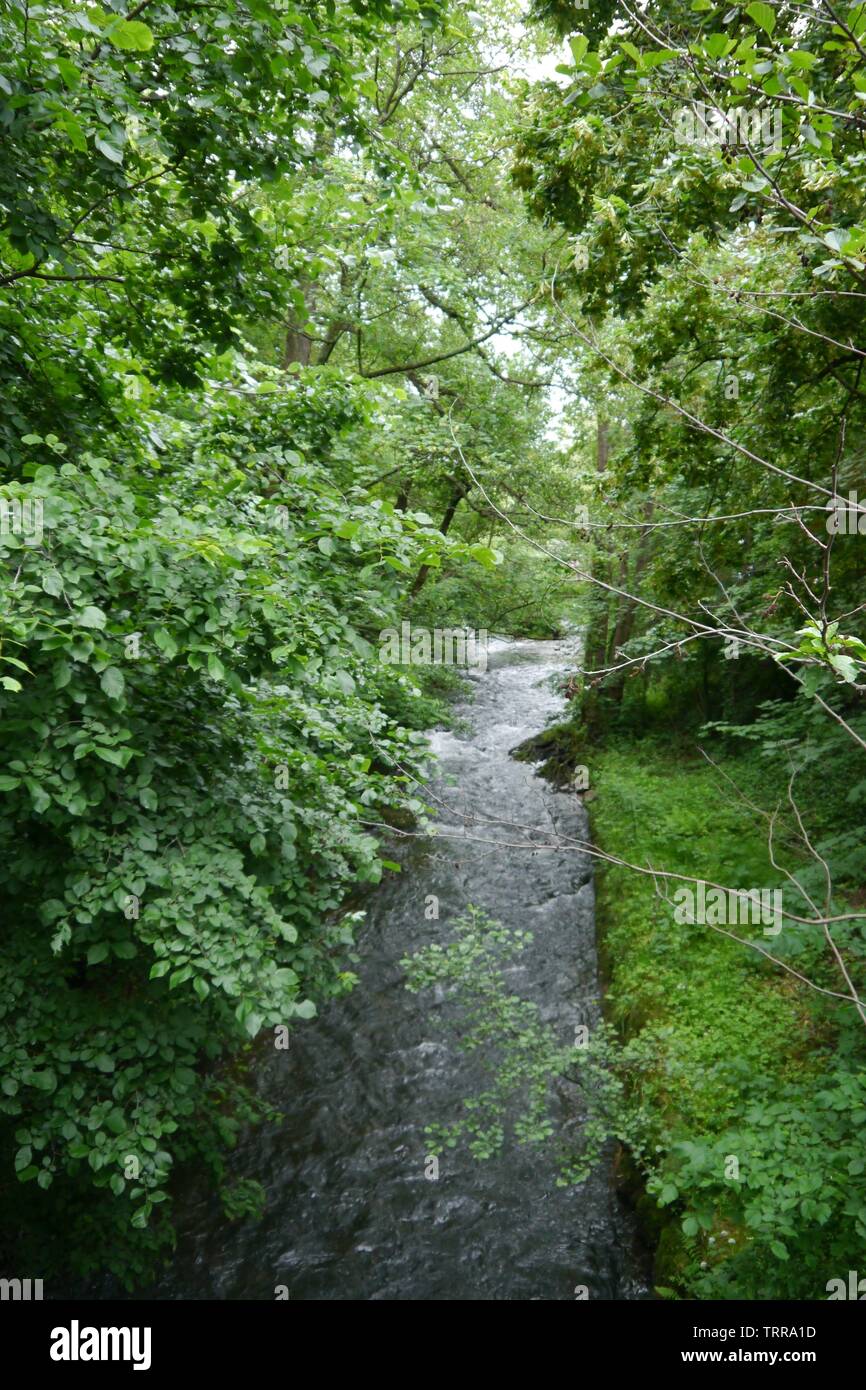 Beautiful green location with a little river Stock Photo - Alamy