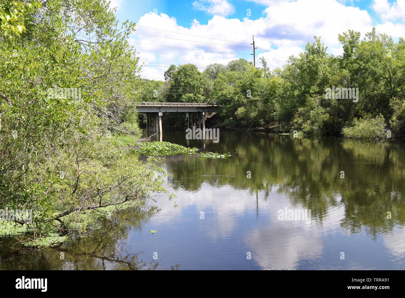 Road bridge over the Hillsborough river, Florida Stock Photo - Alamy