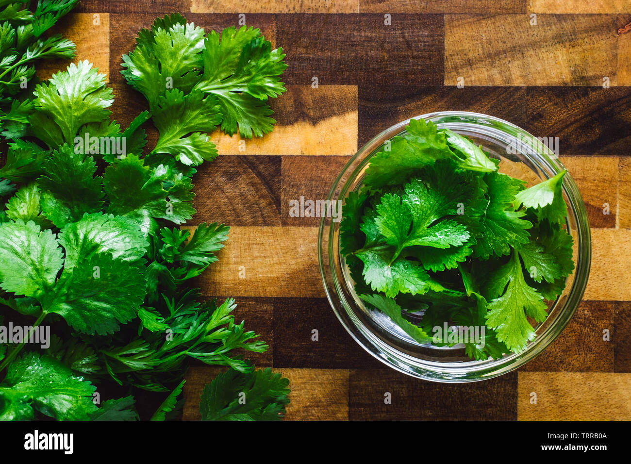 Cilantro Leaves High Resolution Stock Photography and Images - Alamy
