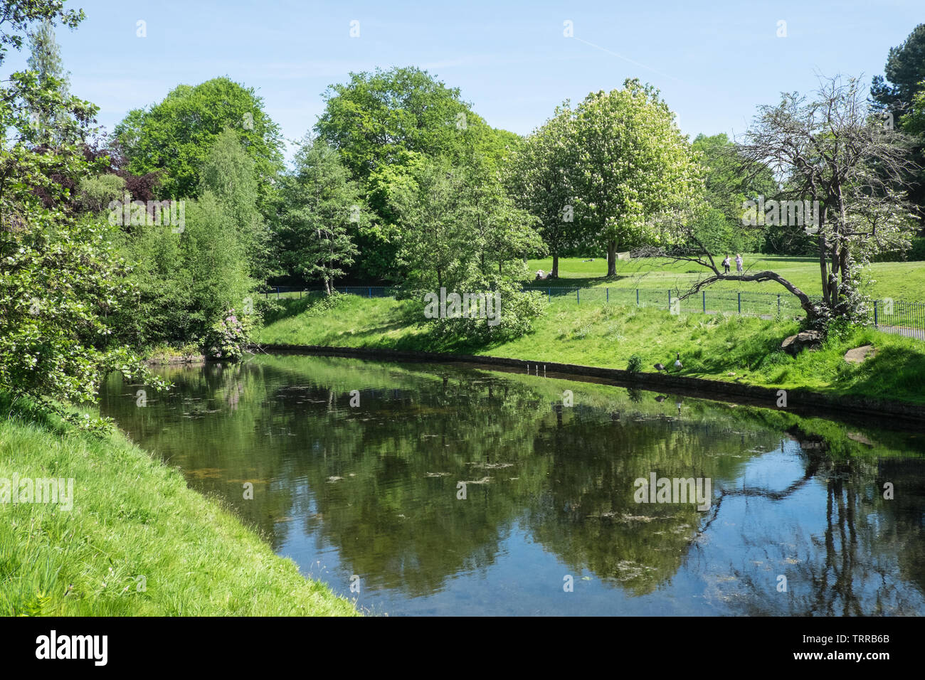 Sefton Park,park,green,greenery,oasis,urban,lungs,Liverpool,Merseyside ...