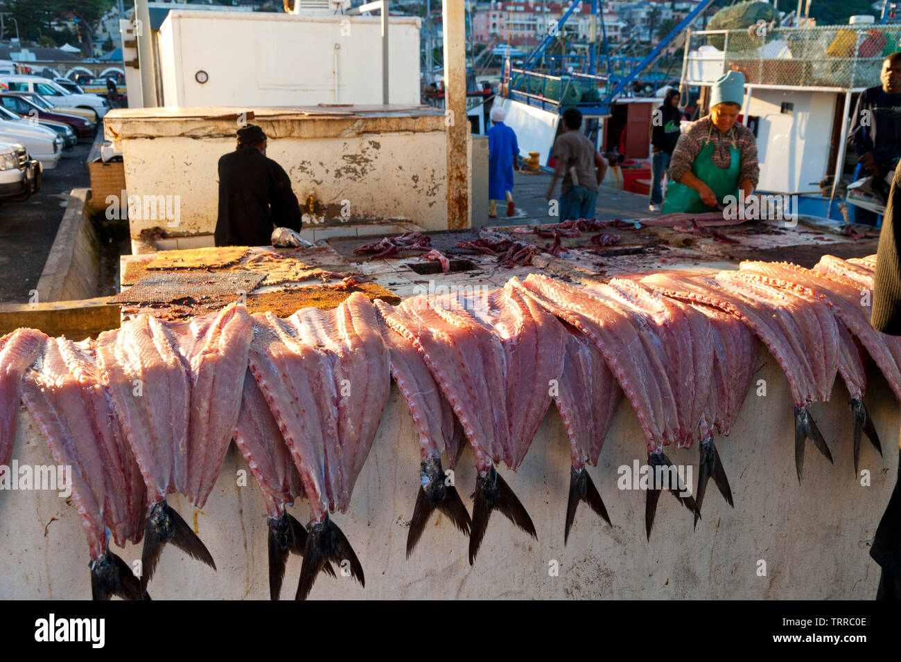 Kalk Bay village, False Bay, South Africa, Africa Stock Photo - Alamy