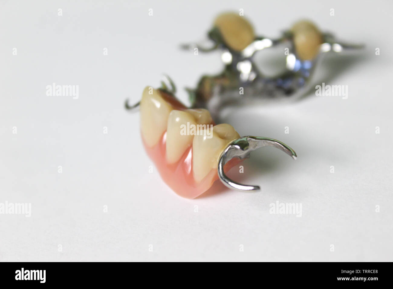 Maxillary Stock Photos & Maxillary Stock Images - Alamy