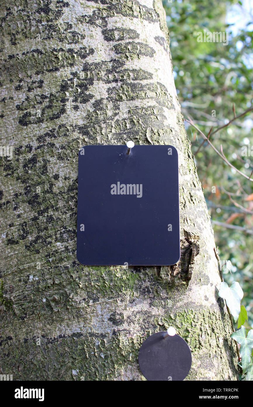 Natural Burial Ground High Resolution Stock Photography and Images - Alamy