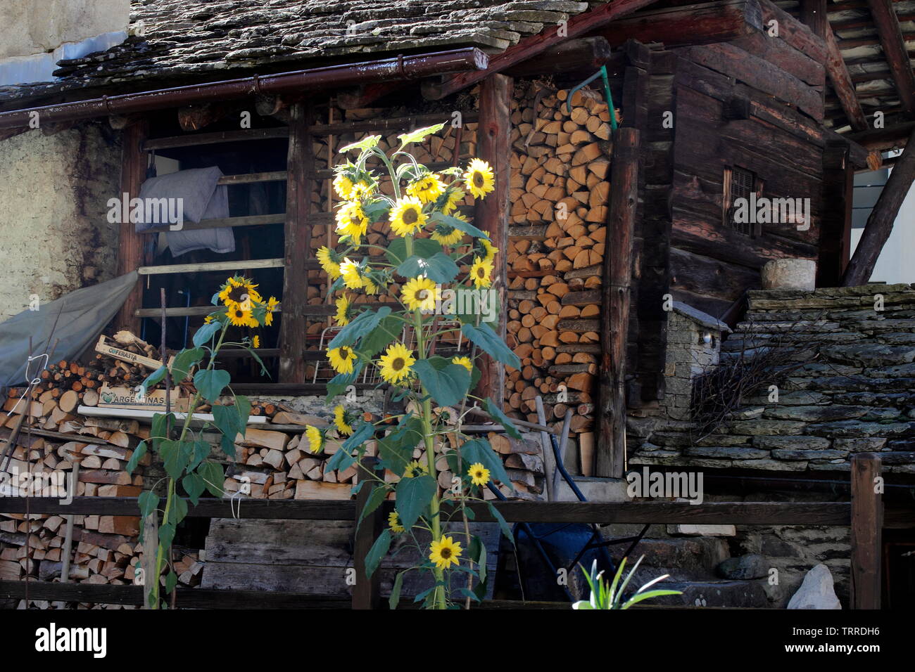 Italy Piedmont lakes area Lago d' Giulio Italian Alps Alagna Valsesia ...