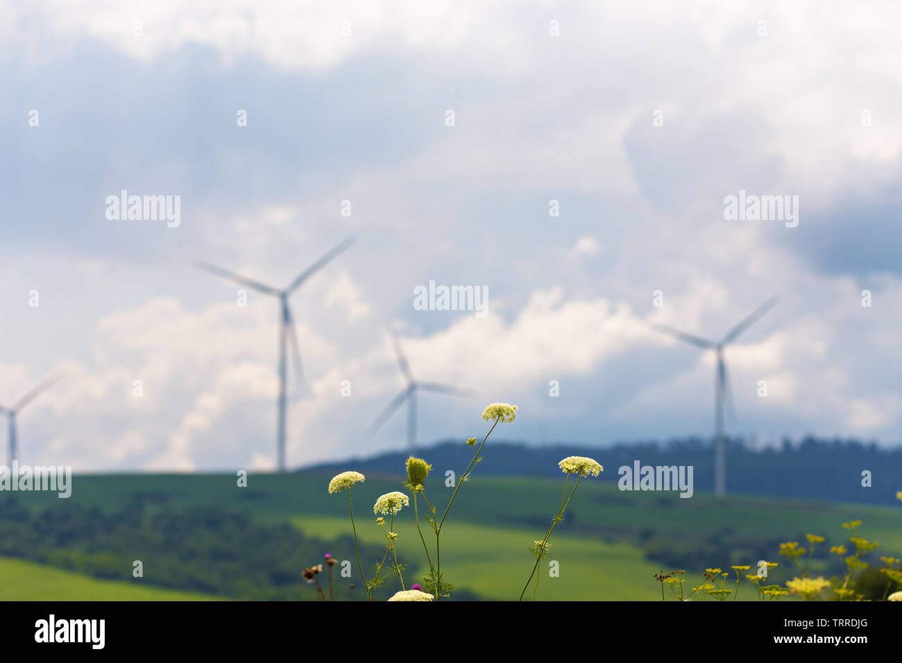 Wind turbines on beautiful sunny summer autumn mountain landsape. Green ...