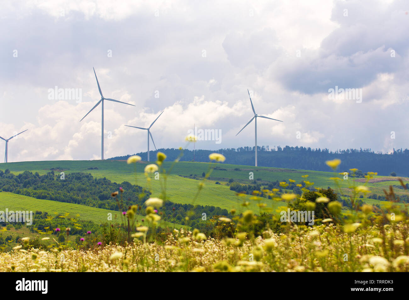 Wind turbines on beautiful sunny summer autumn mountain landsape. Green ...