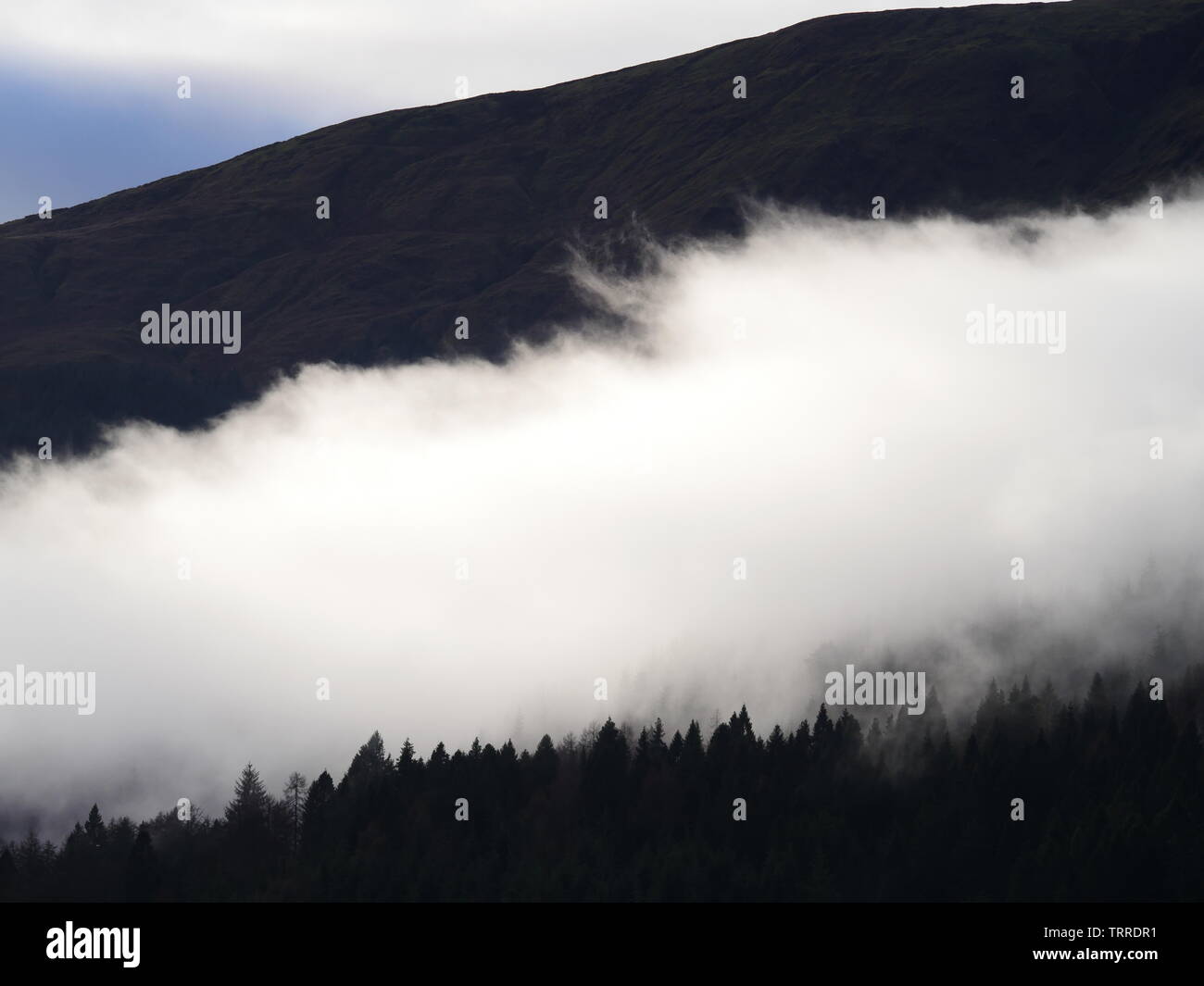 Willow the wisp hi-res stock photography and images - Alamy