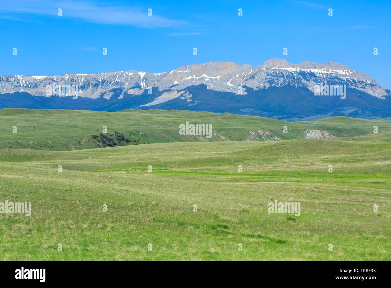 sawtooth ridge along the rocky mountain front above the vast prairie ...