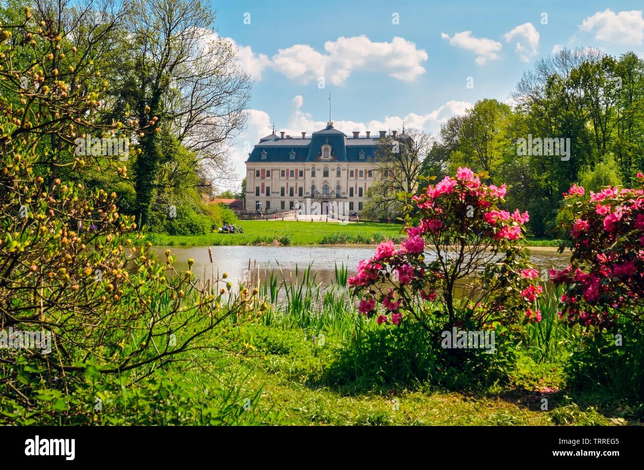 Beautiful historic castle in colorful spring scenery. Neo baroque castle in a park in Pszczyna ...