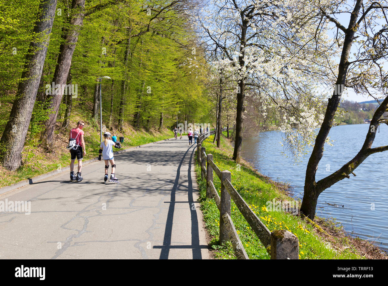 Spring lakeside walk Stock Photo - Alamy