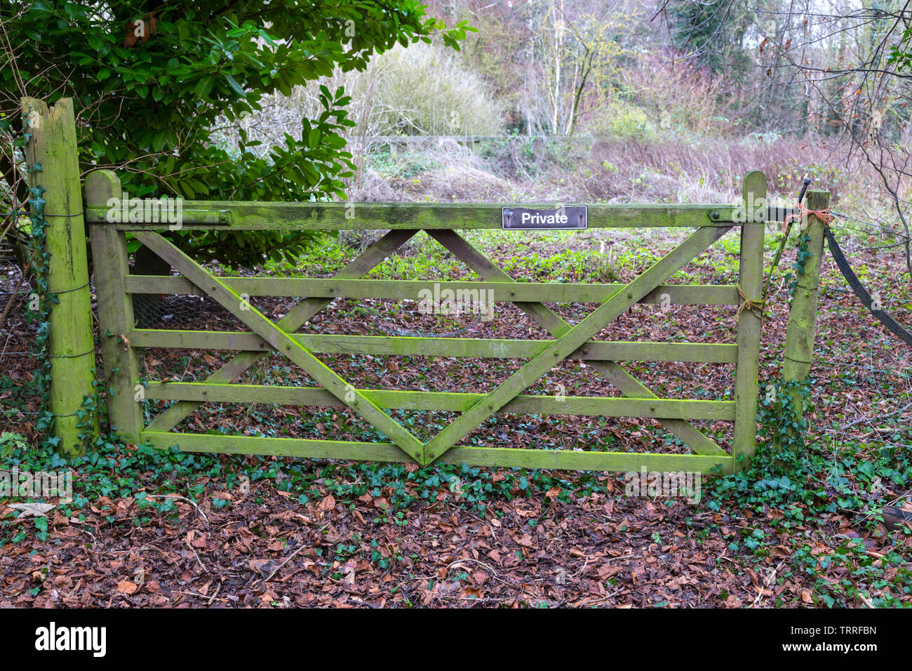 Woodland gate and fence hi-res stock photography and images - Alamy