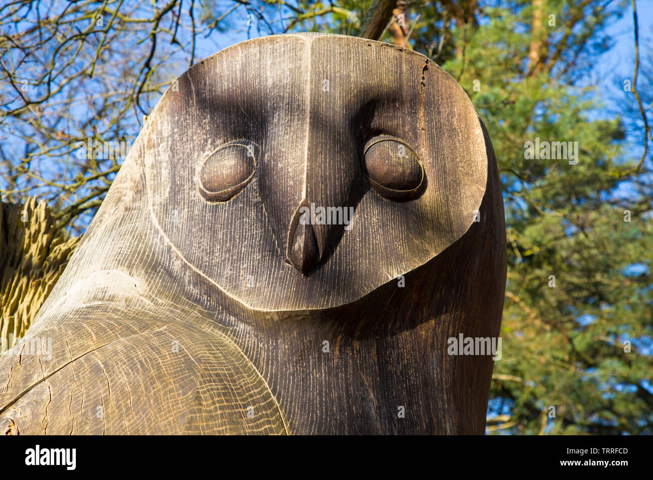 Owl carving hi-res stock photography and images - Alamy