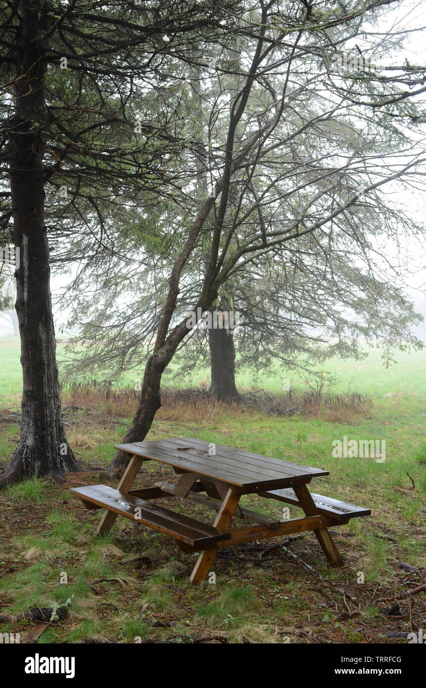 Wet picnic hi-res stock photography and images - Alamy