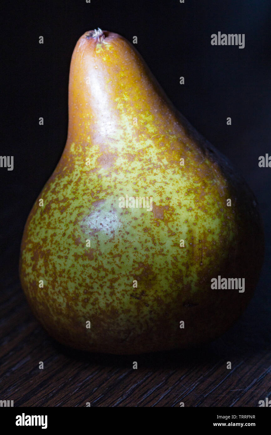 A Bosc pear (Pyrus communis 'Bosc') in dramatic lighting reveals its ...