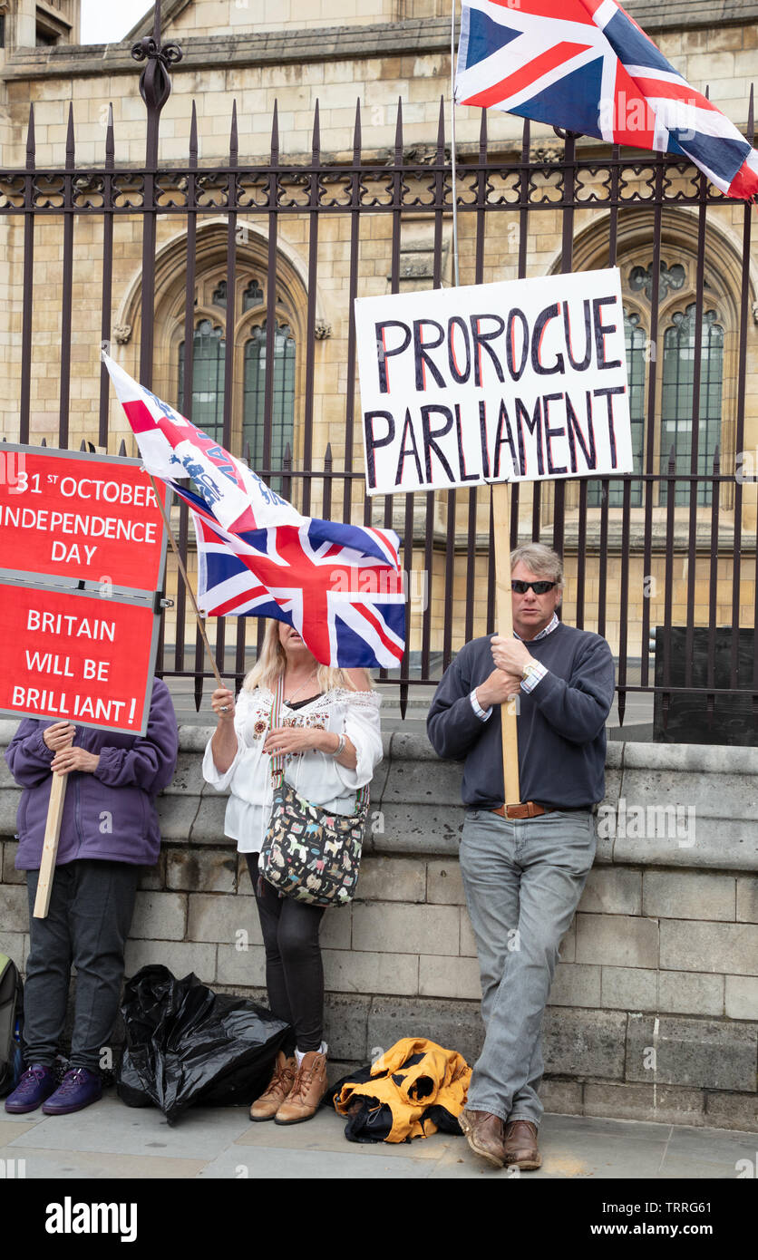 London, UK. 11th June 2019. Pro-Brexit protesters outside Parliament ...