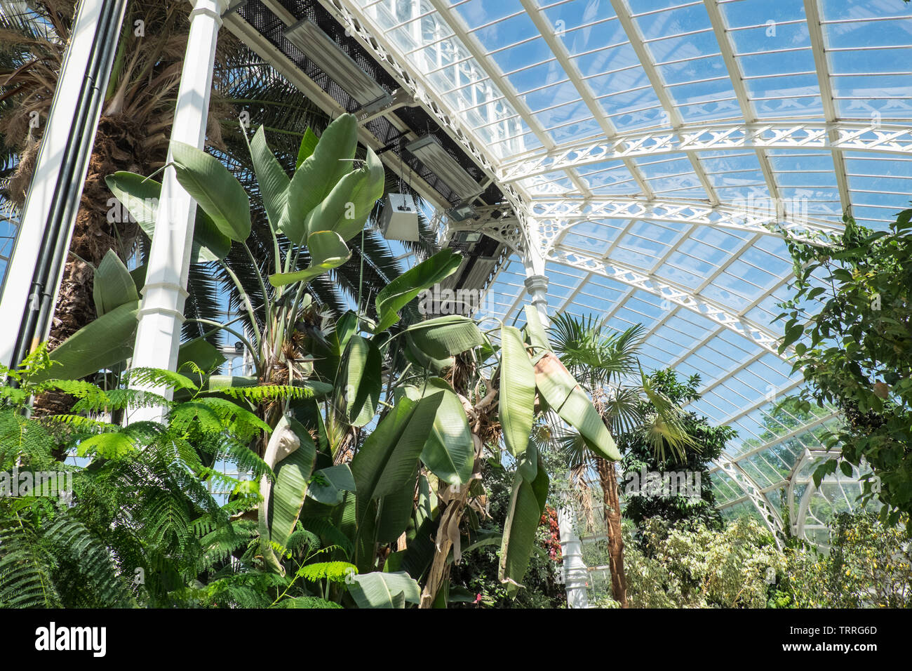 Sefton Park,park,green,greenery,oasis,urban,lungs,Liverpool,Merseyside ...