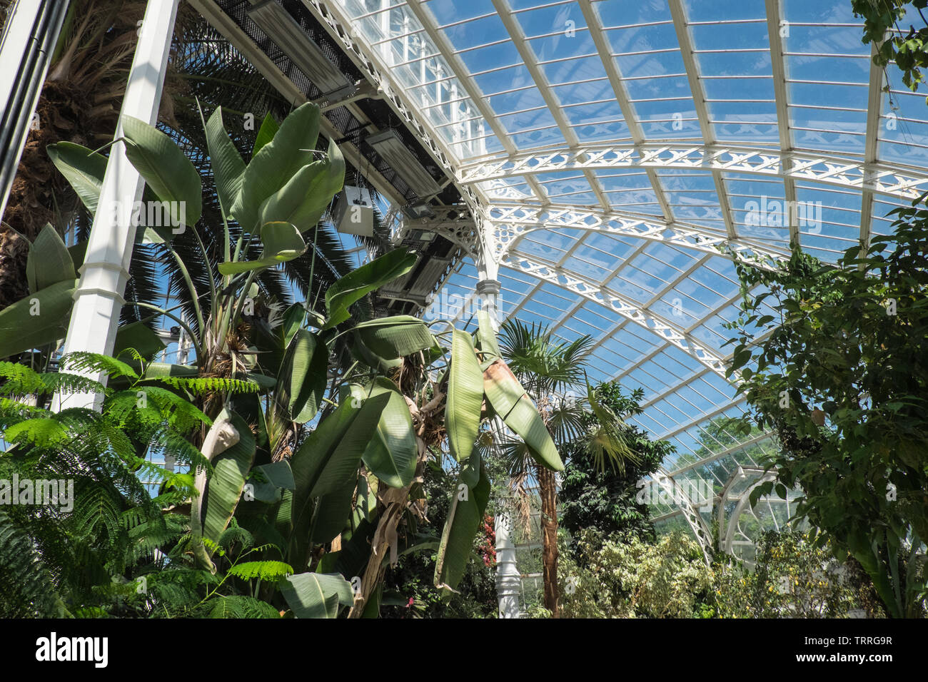 Sefton Park,park,green,greenery,oasis,urban,lungs,Liverpool,Merseyside ...