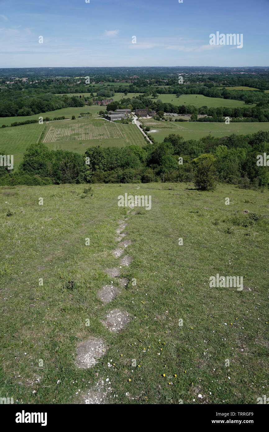 Walking southdowns hi-res stock photography and images - Alamy