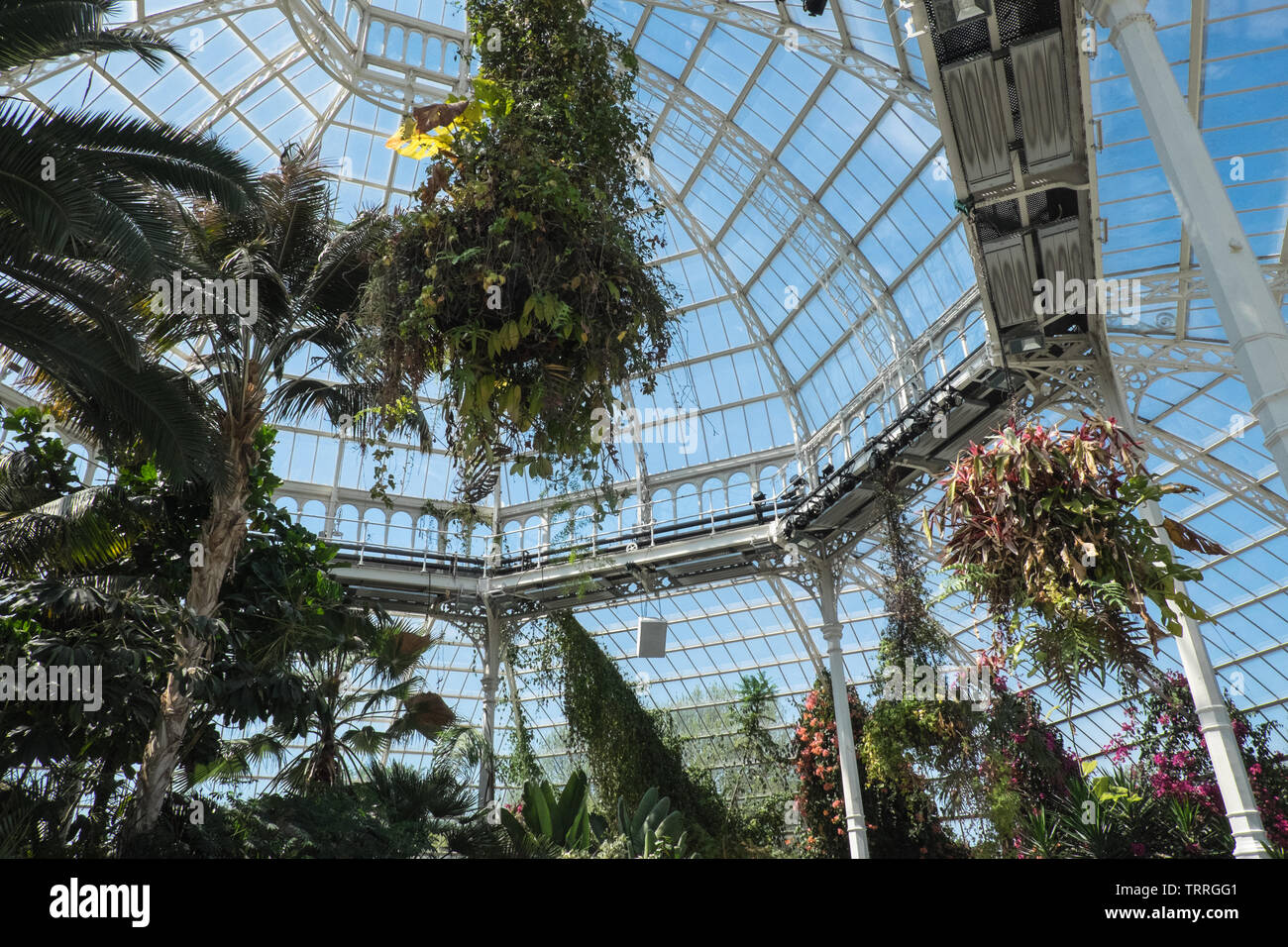 Sefton Park,park,green,greenery,oasis,urban,lungs,Liverpool,Merseyside ...