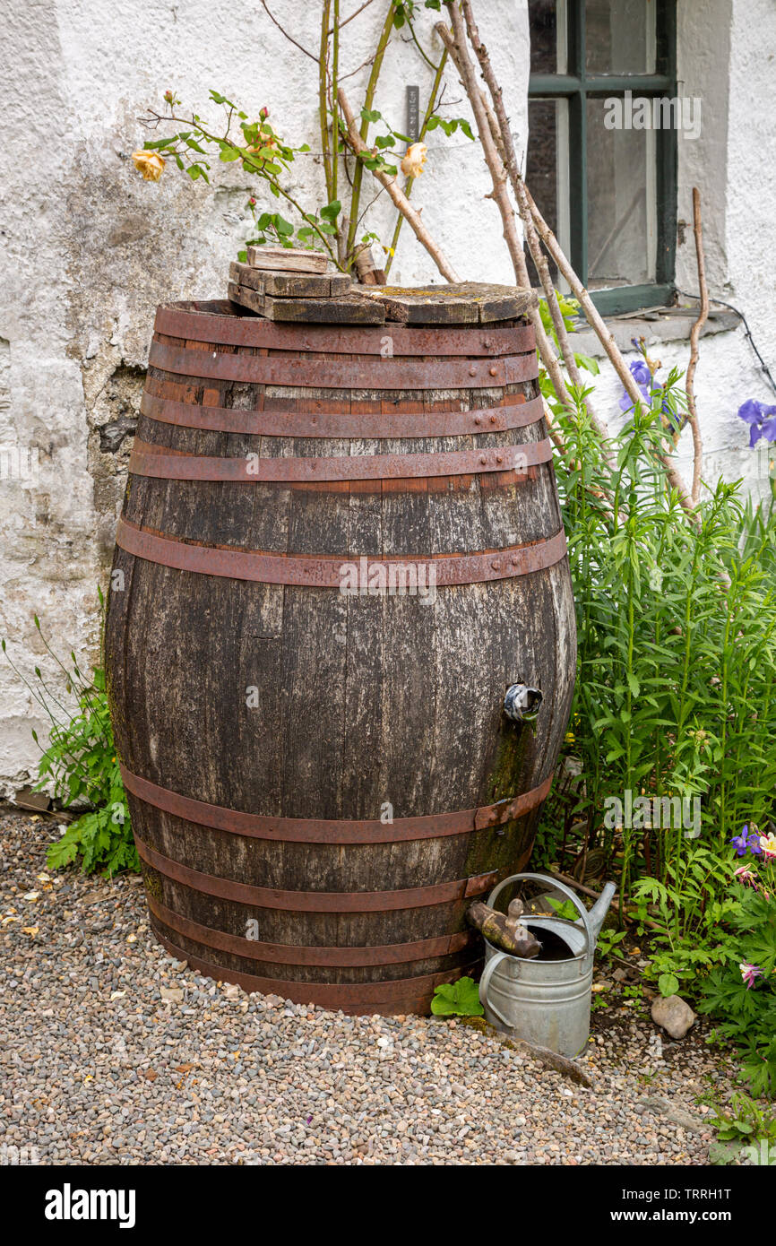 Large wooden barrel in a garden used as a rain collector Stock Photo ...