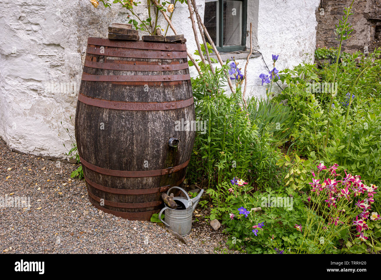 Large wooden barrel in a garden used as a rain collector Stock Photo ...