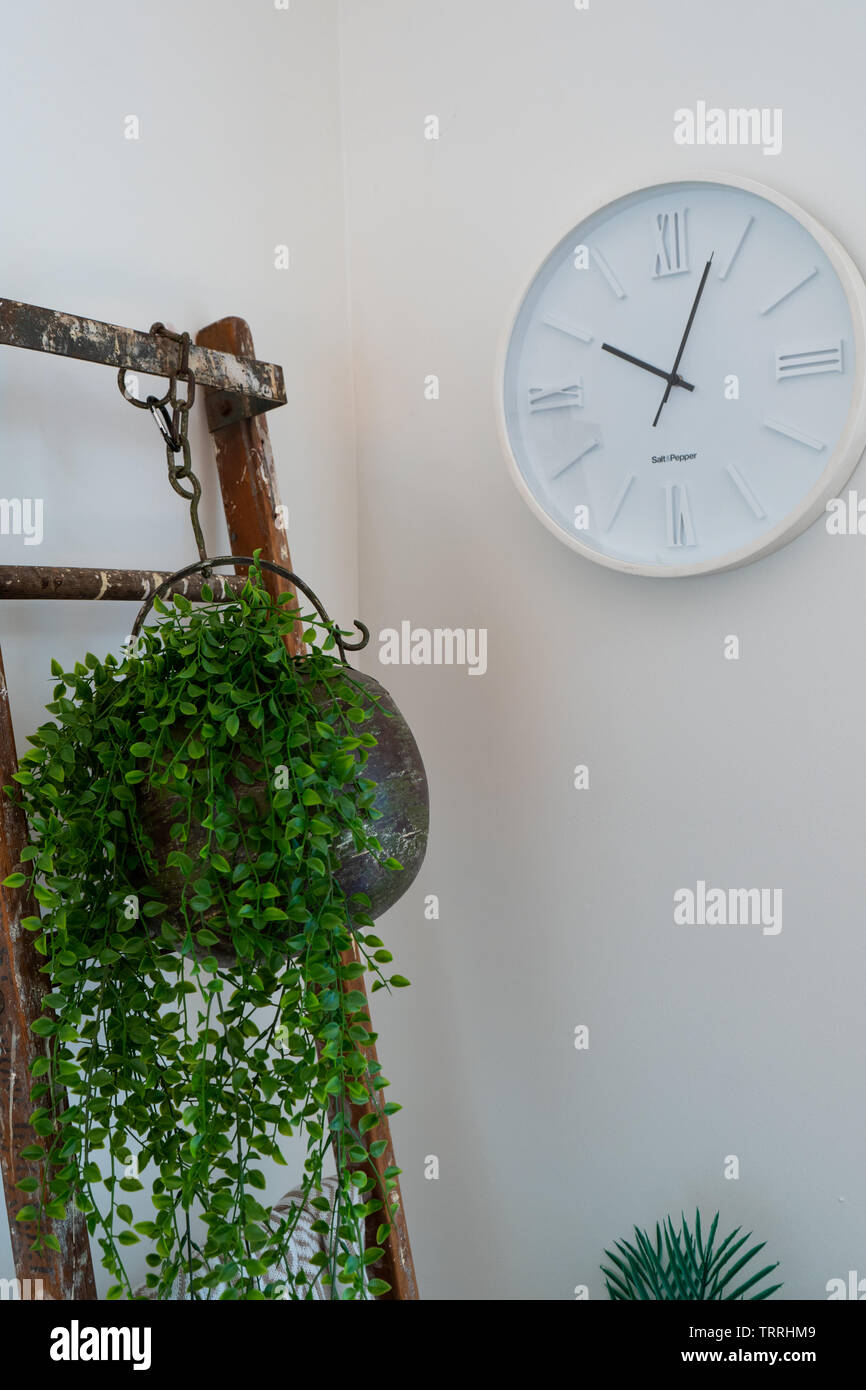 Styled interior with artificial plant, clock and rustic ladder Stock ...