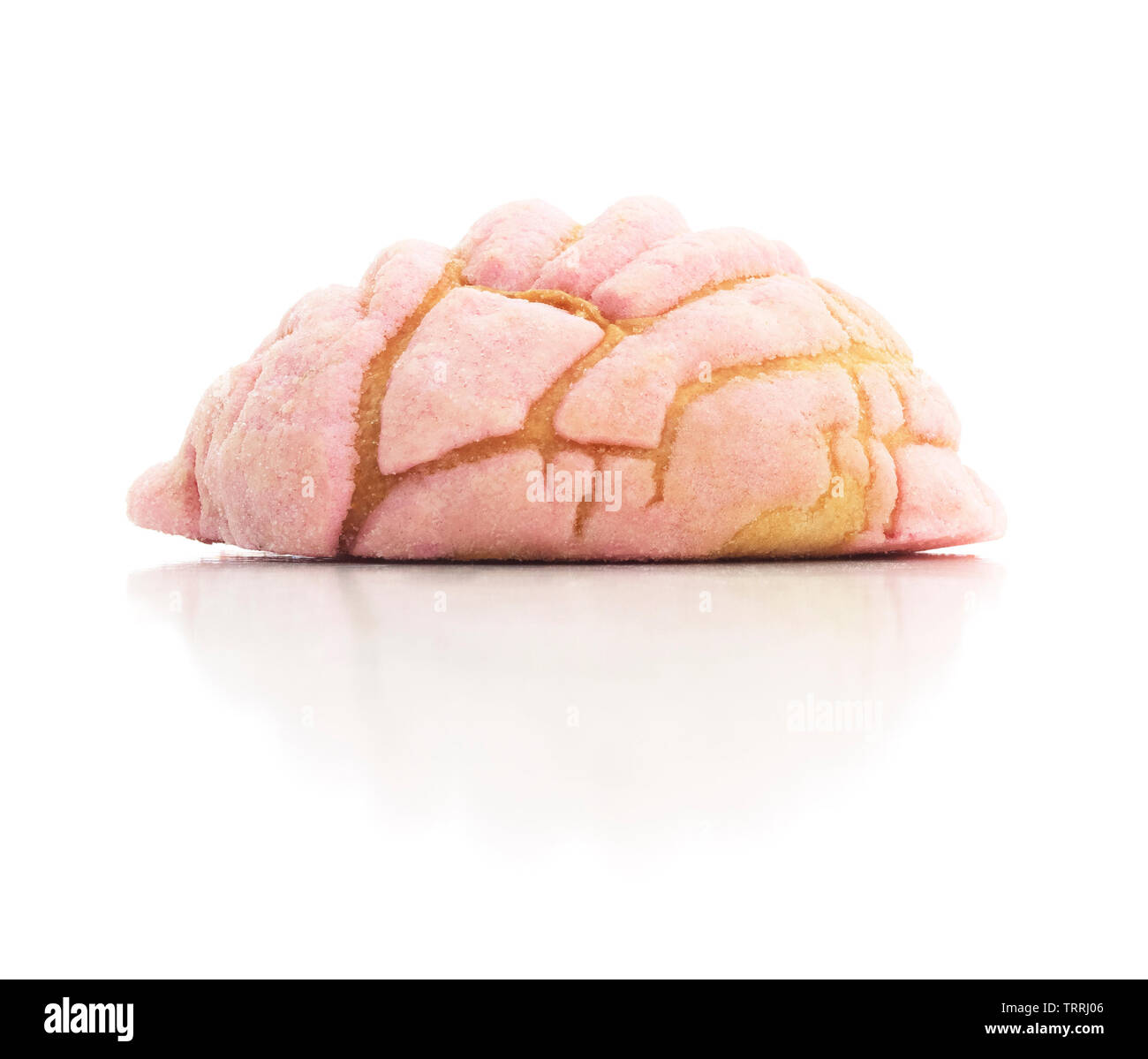 Isolated close up Mexican pink sugar bread concha on a white background ...